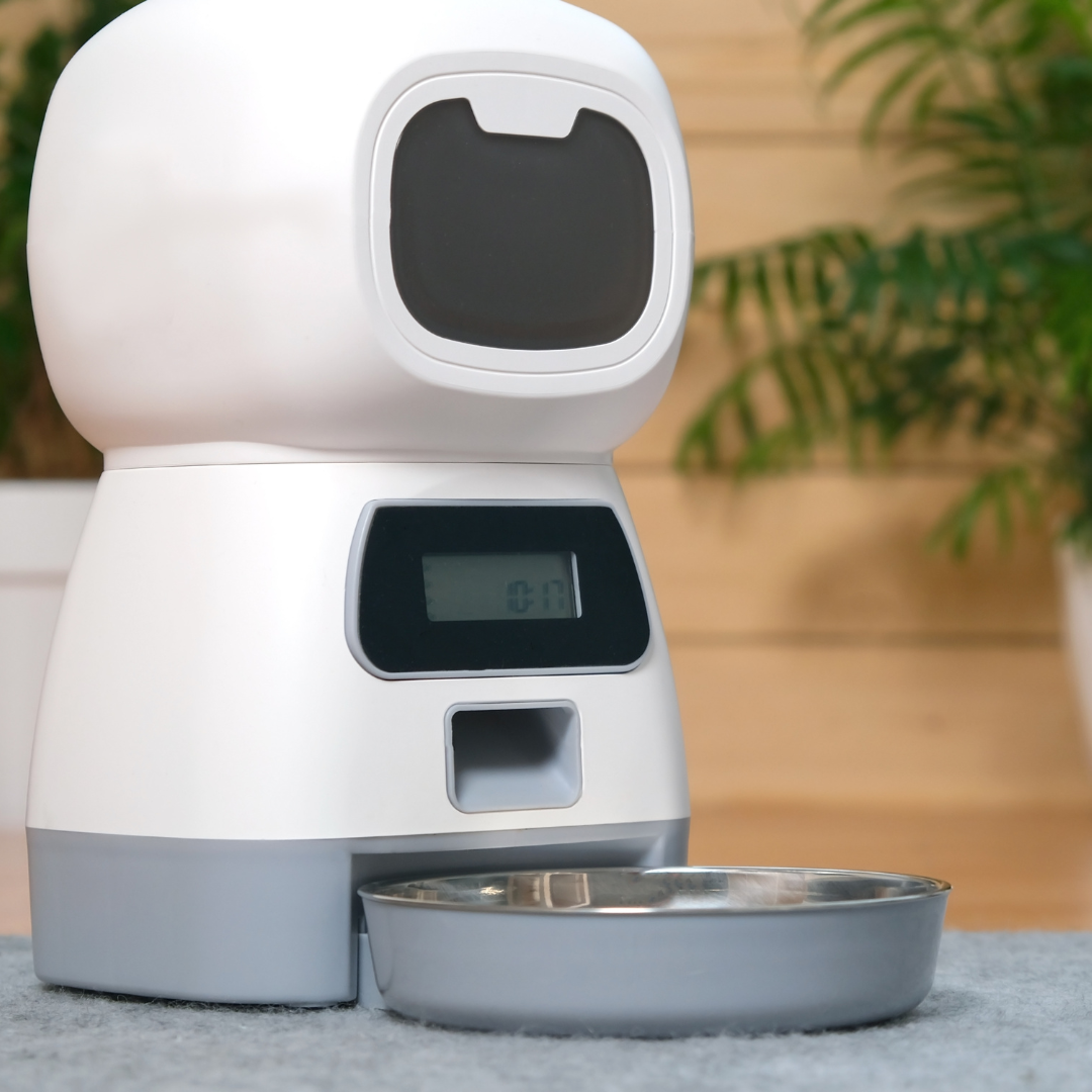 Find the latest Pet Tech Trends in the UAE - Where My Paws At