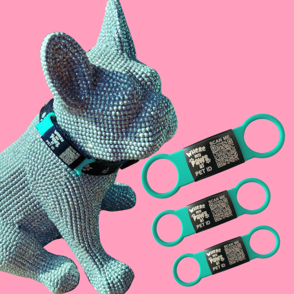 The Importance of Pet ID Tags - Where My Paws At