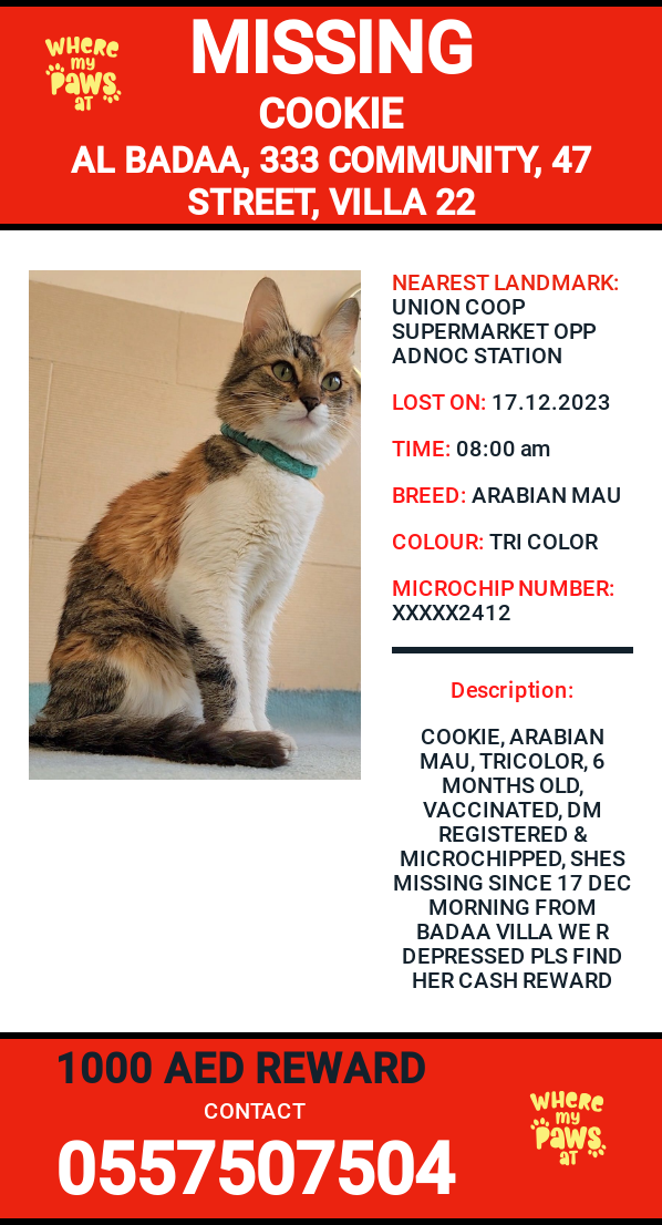Lost Pets In The UAE - Where My Paws At