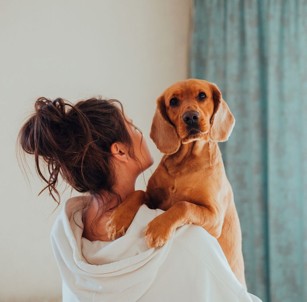 A Guide to Becoming a Pet Parent in UAE - Where My Paws At