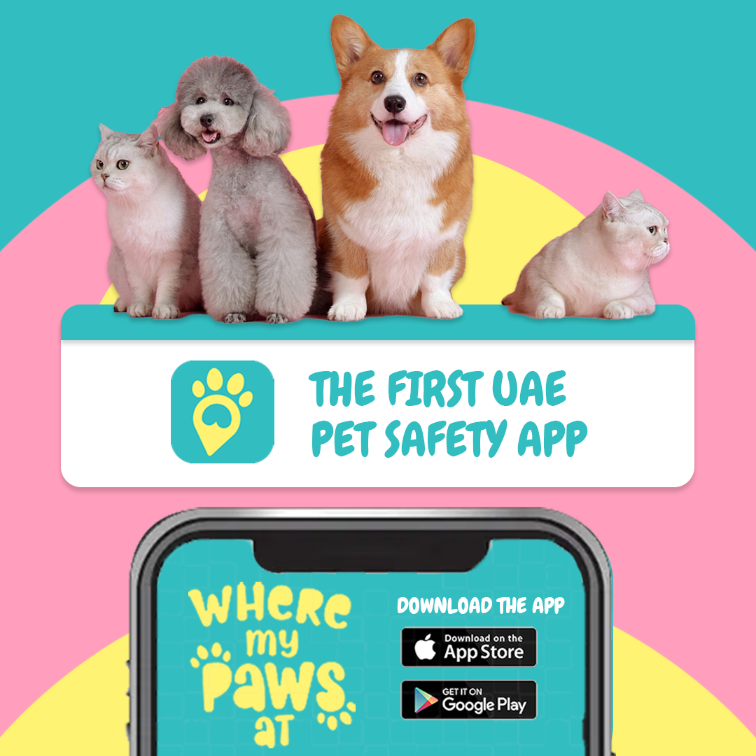 UAE Lost and Found Pet App - Where My Paws At